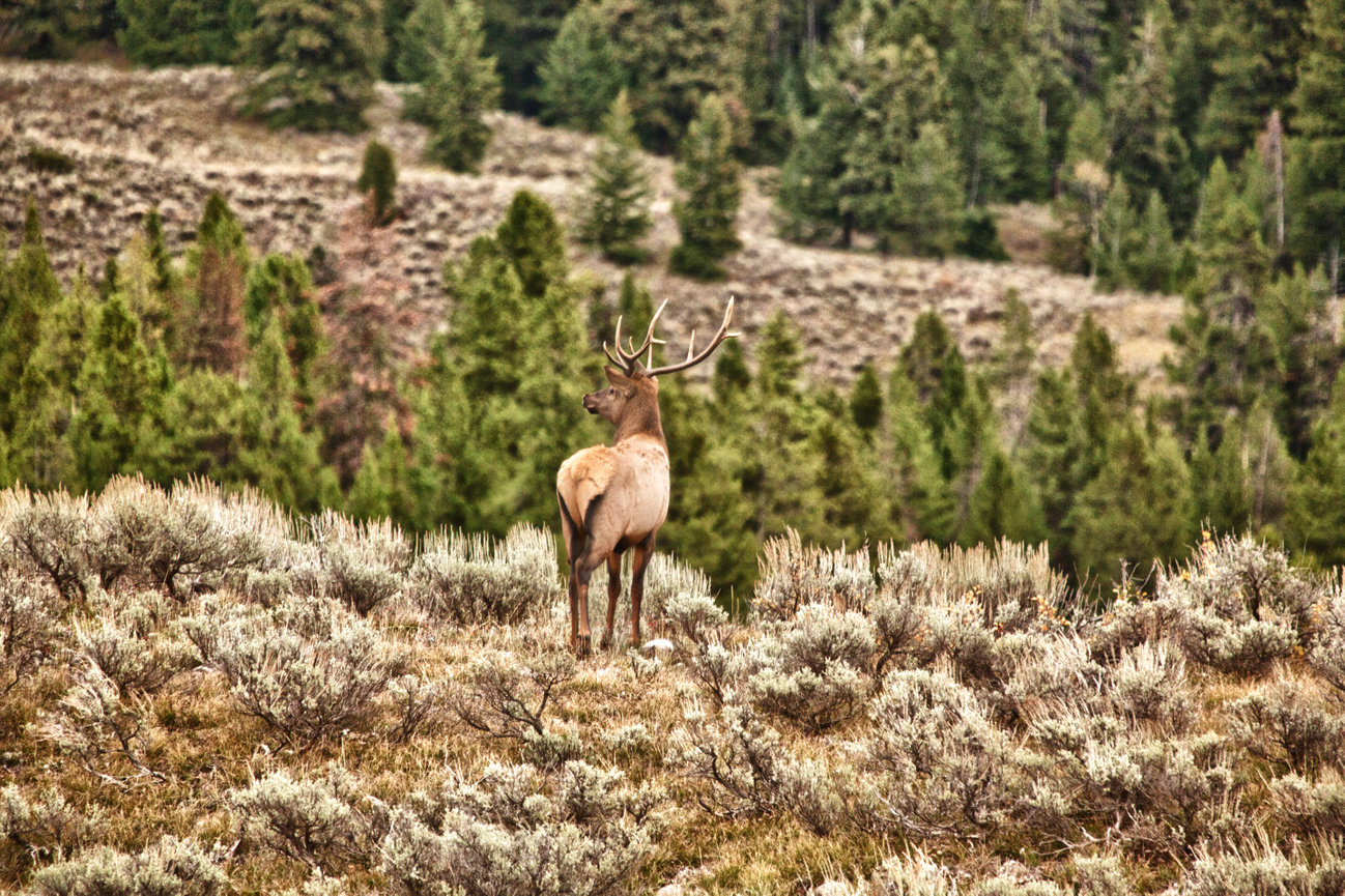Grand Tetons in the Fall - Nature Exposed Tours