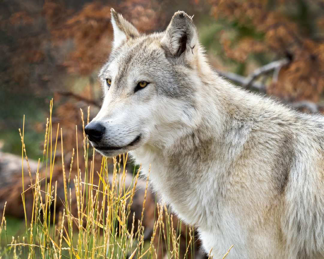 Nature Exposed Tours