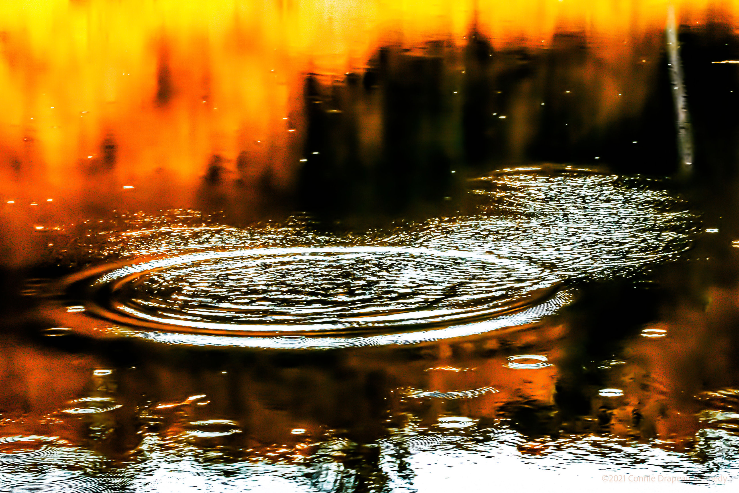 Everyday Practices for a More Compassionate World - Seeing Goodness