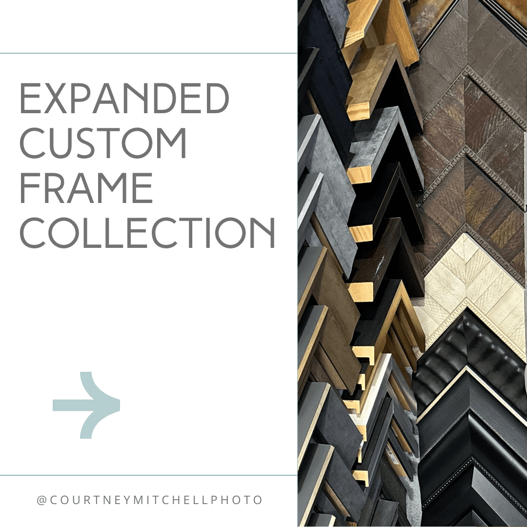 Elevate Your Portraits With Our Expanded Custom Framing Options in ...