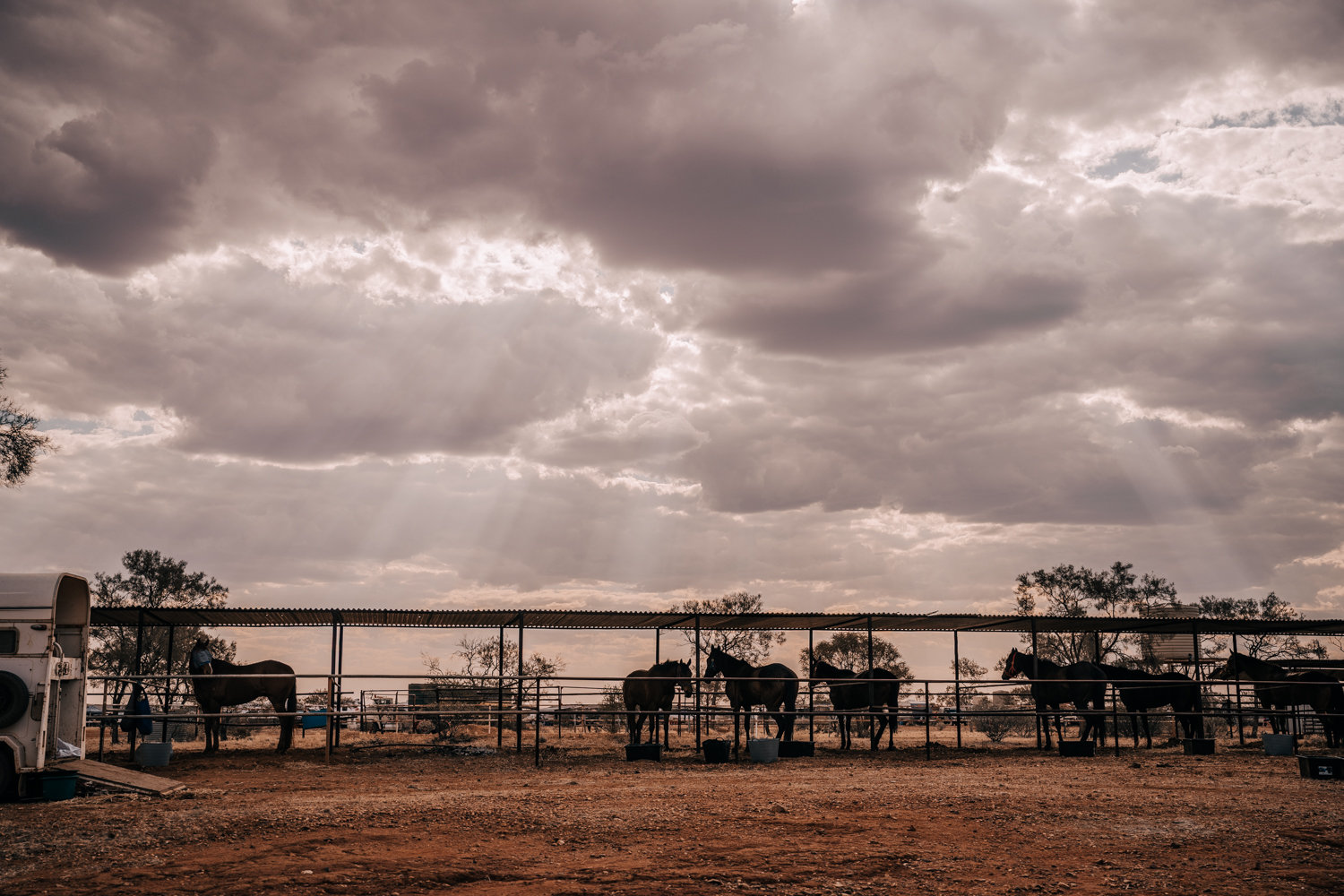 Experience the Thrills of The Landor Races in Western Australia's East ...