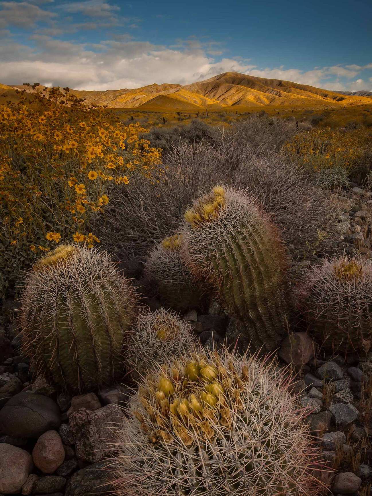 CREATING DEPTH - Rob Strain Fine Art Photography & Workshops