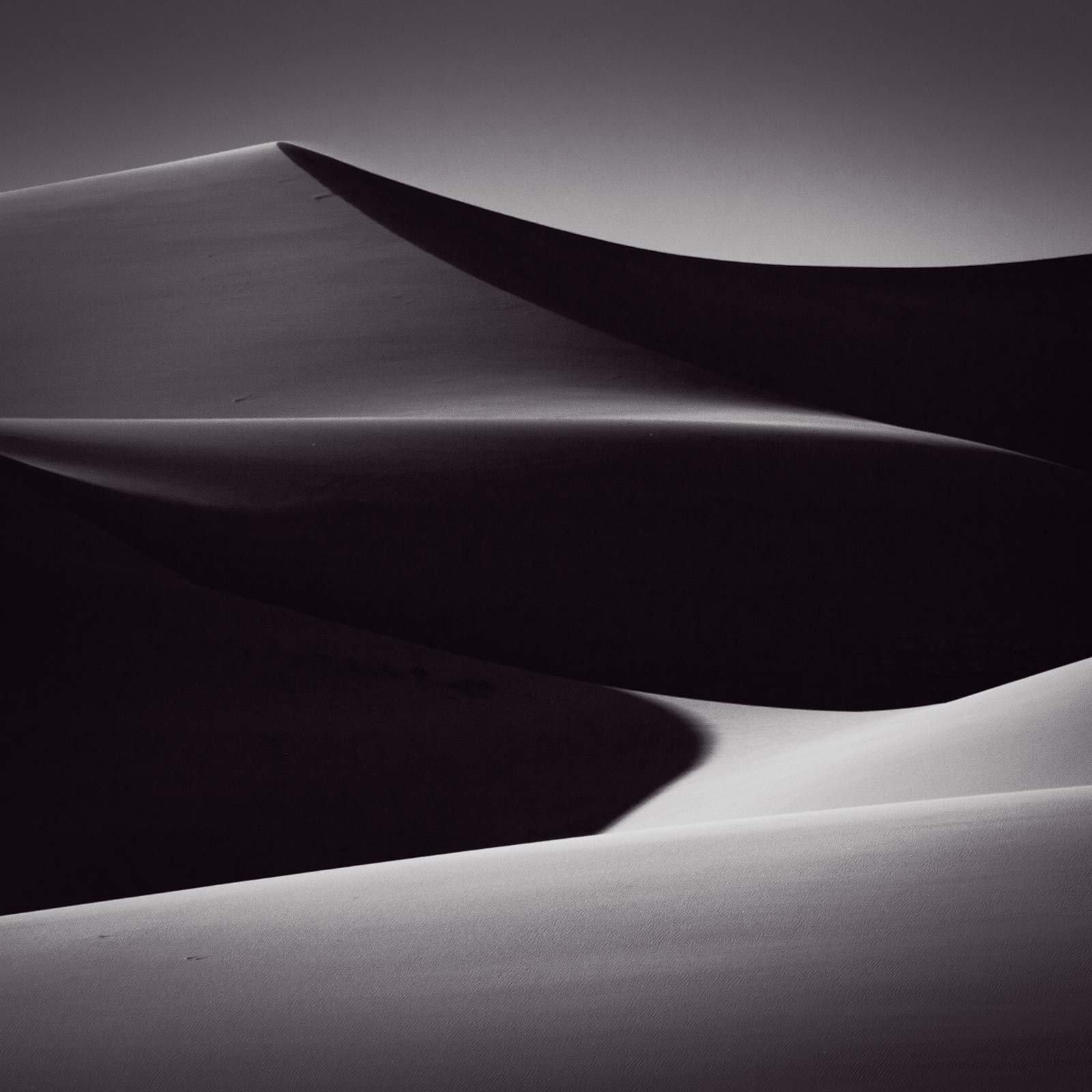 Sand Tracks - Rob Strain