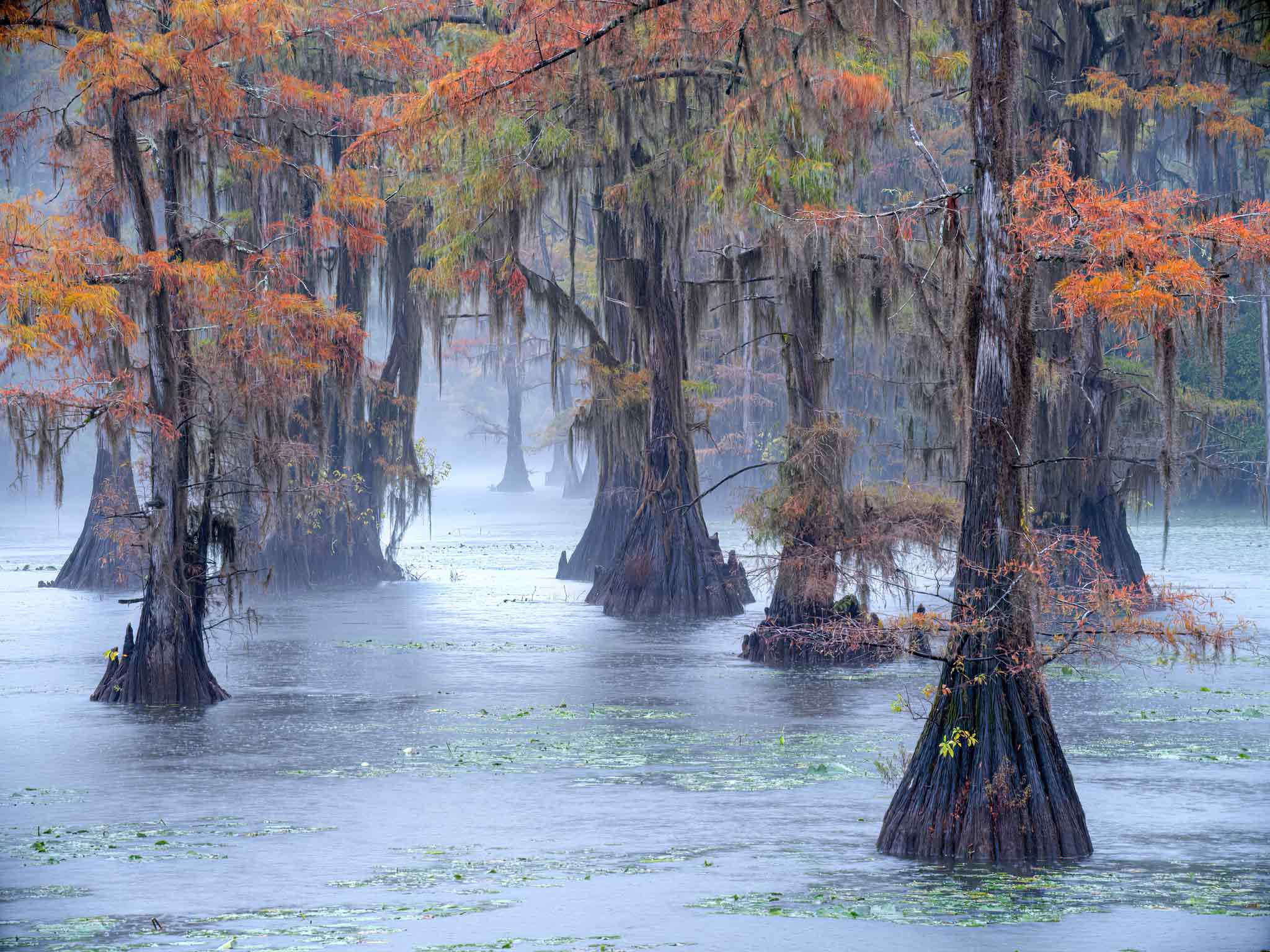 CADDO LAKE PHOTO WORKSHOP DETAILS - Rob Strain Fine Art Photography ...