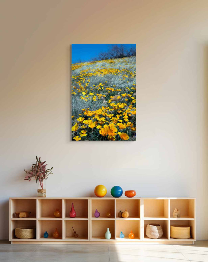 SPRING - Rob Strain Fine Art Photography & Workshops