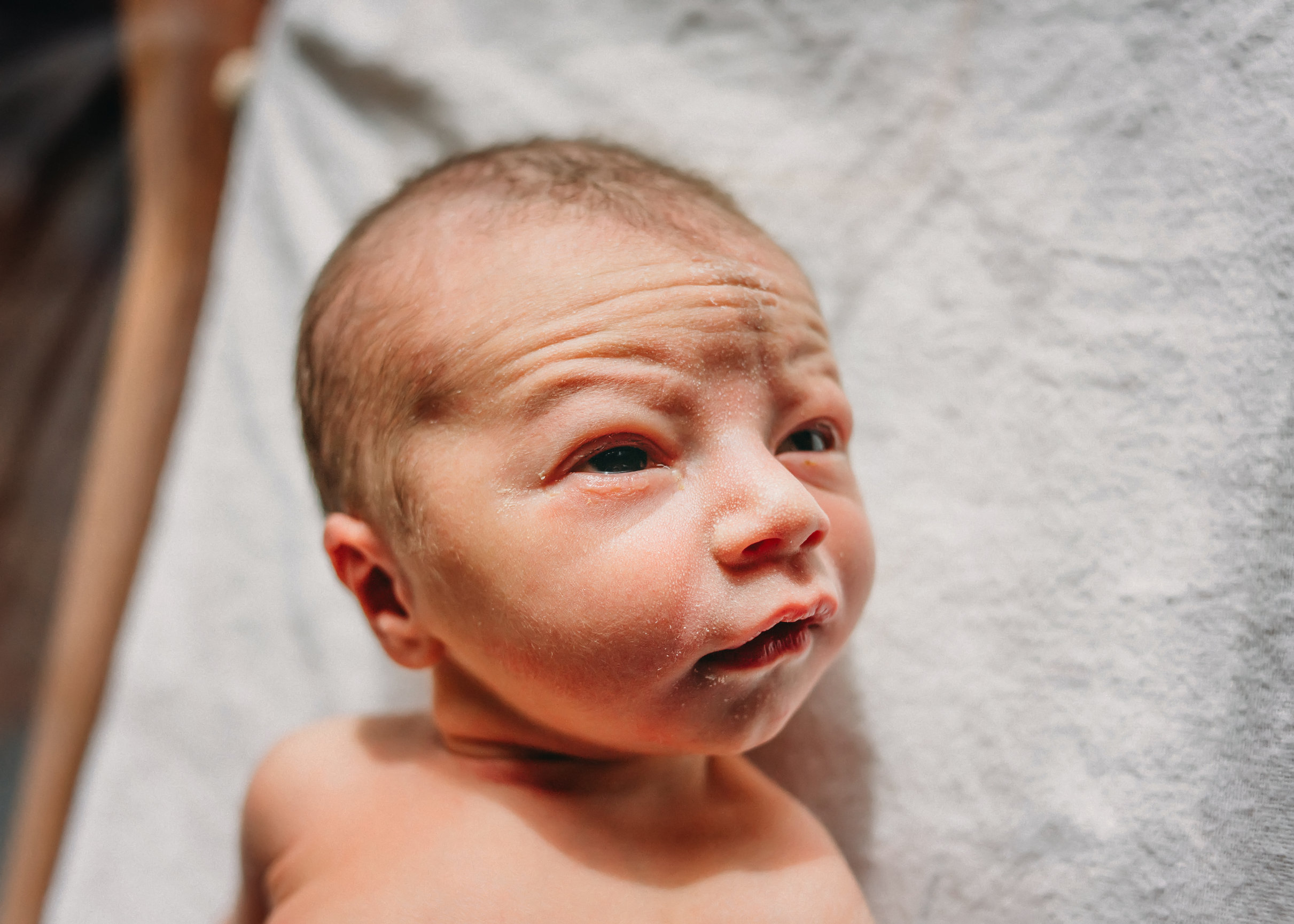 Fresh 48 - Bolt Photography