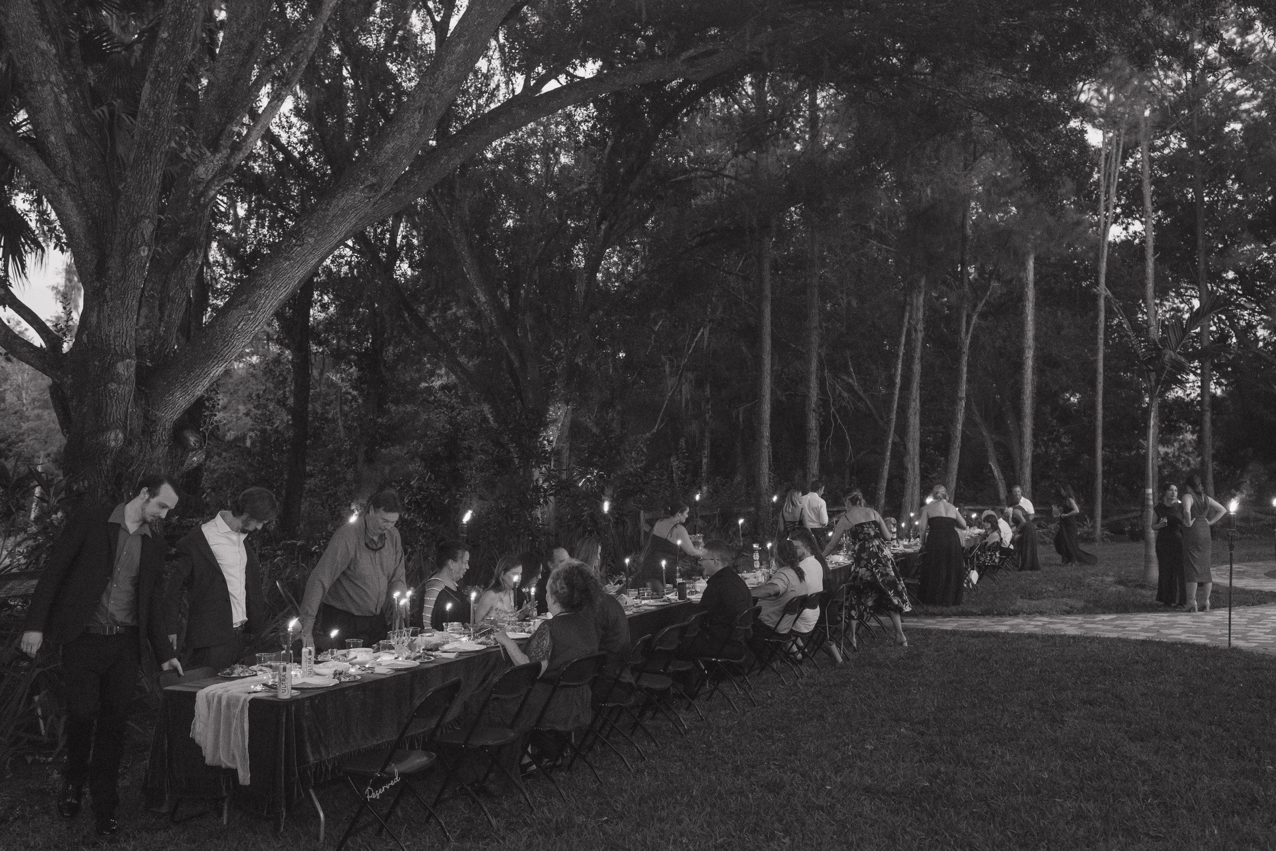 Whispering Meadows Estate