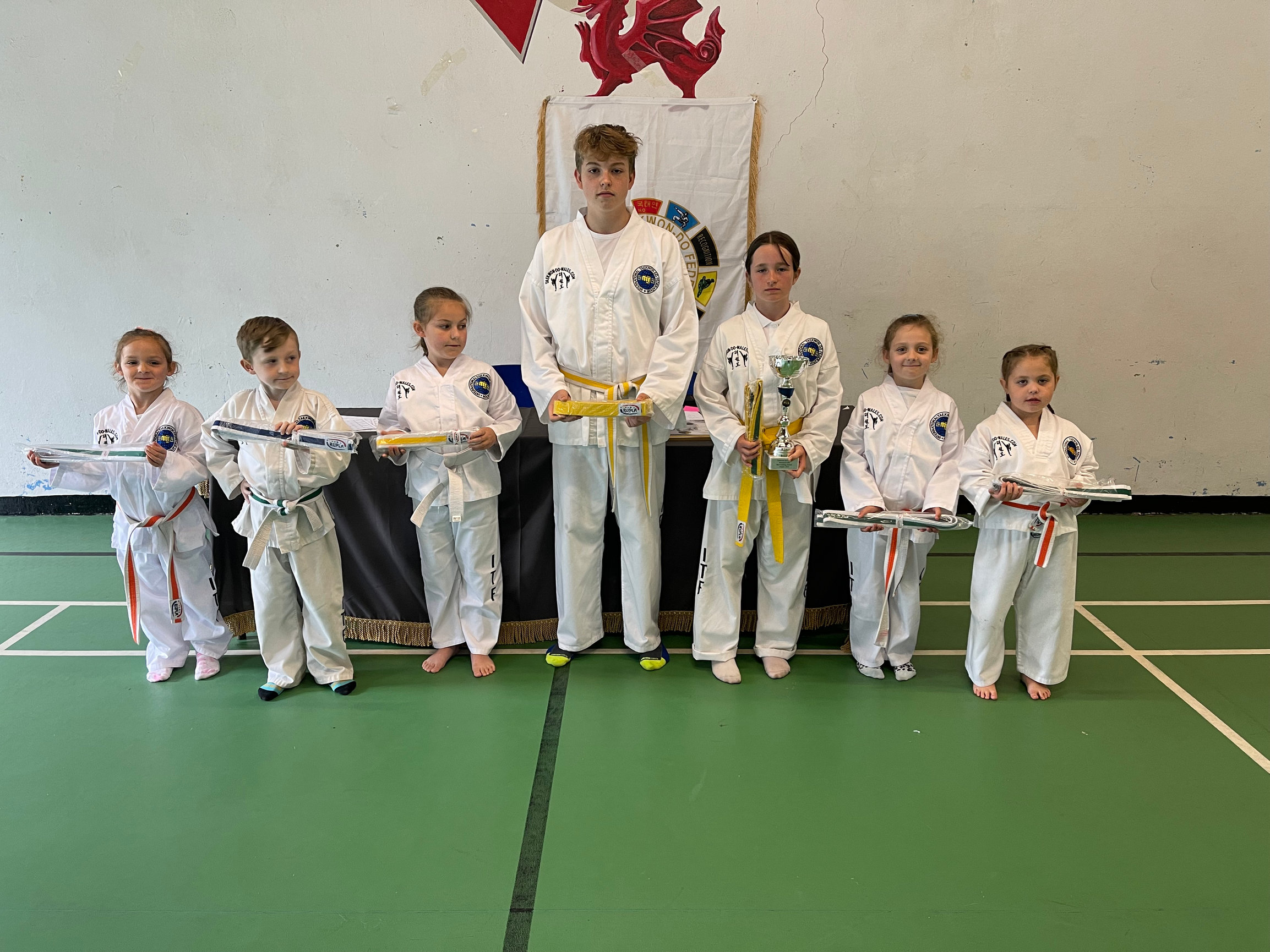 Summer Colour Belt Gradings Taekwon Do Wales