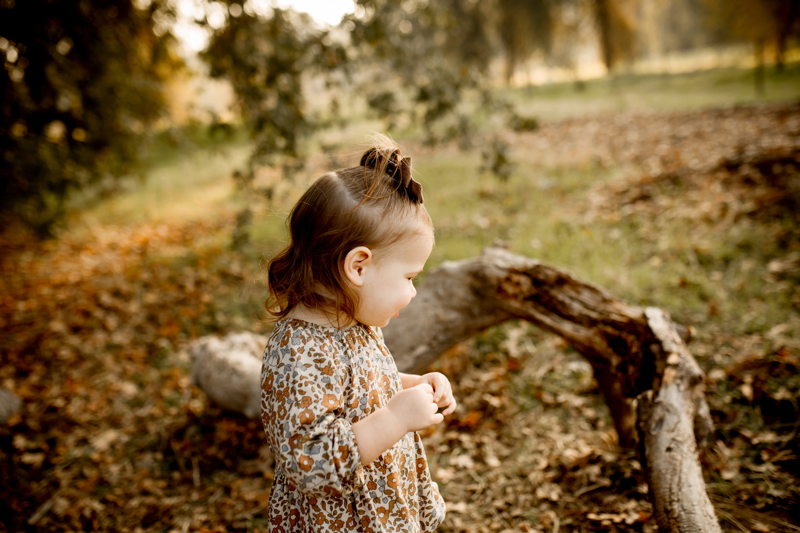 Home - Janette Smith Photography