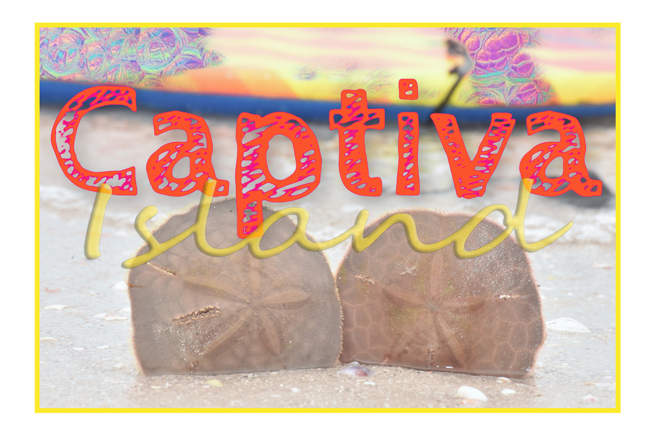 Sanibel & Captiva Island Stickers & Post Cards - Casey B Gent