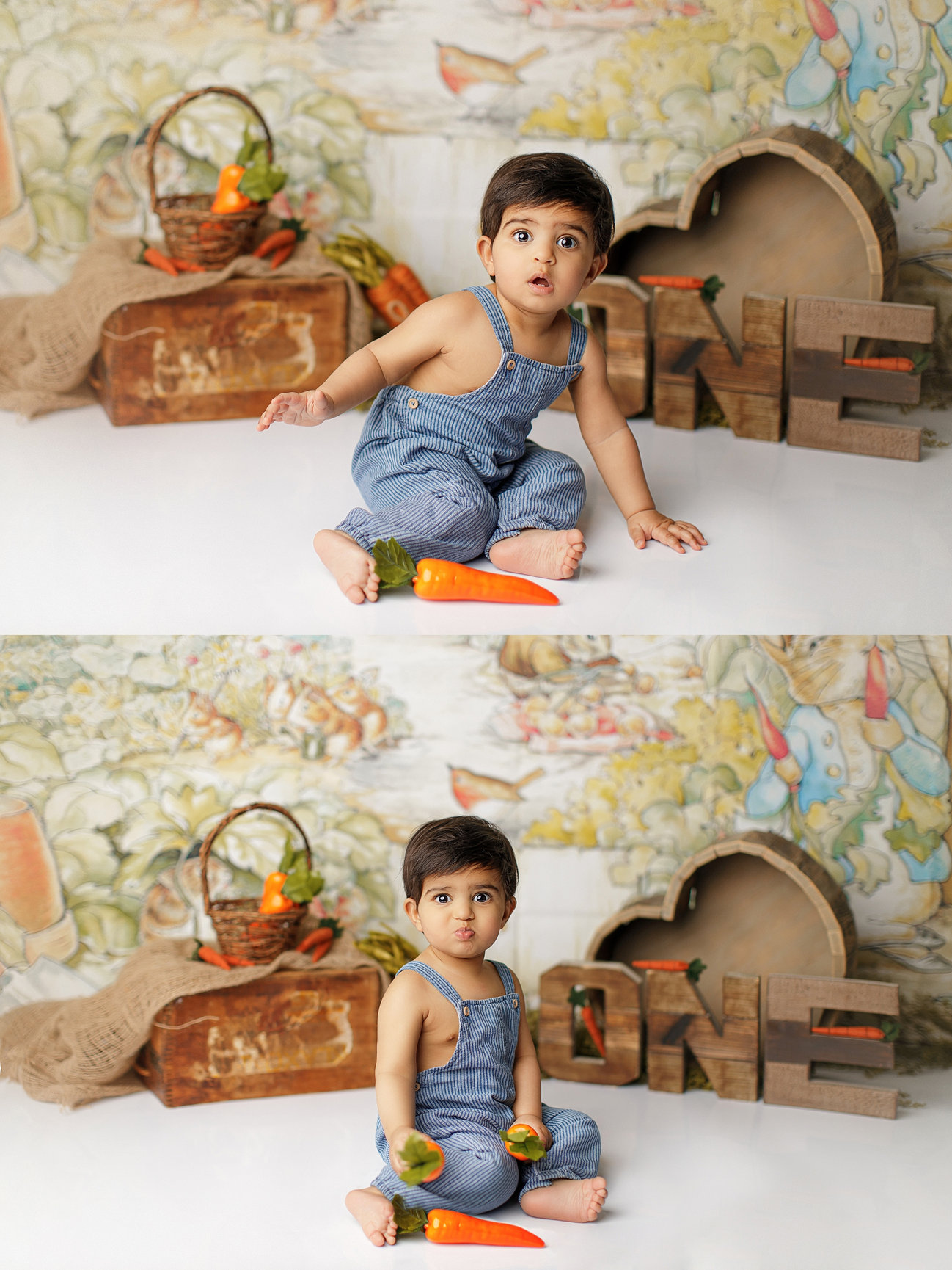 Family & Newborn Photographer Calgary • Leo's Peter Rabbit Inspired ...