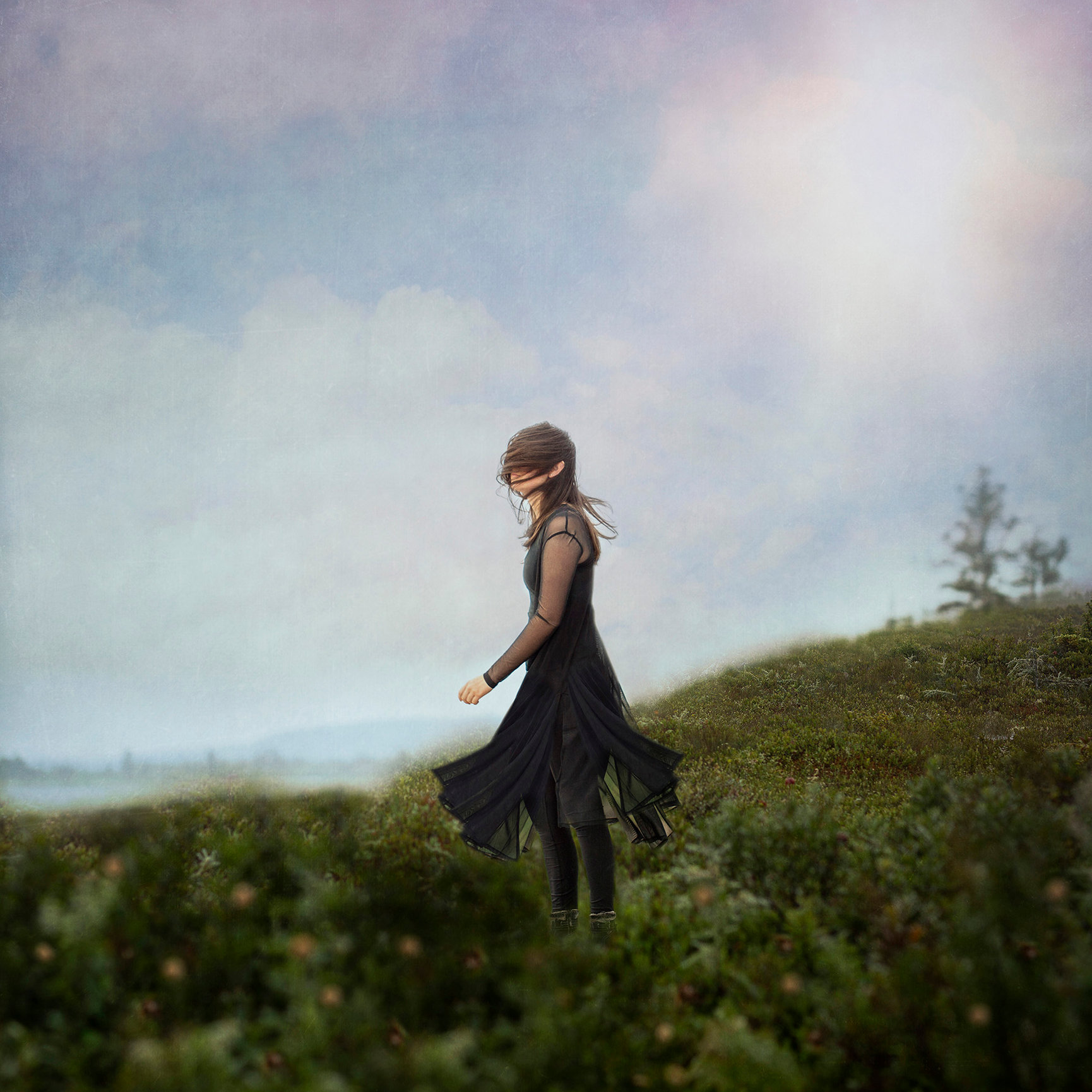 Waltham, MA Portrait Photography | Cheryl Clegg Photography