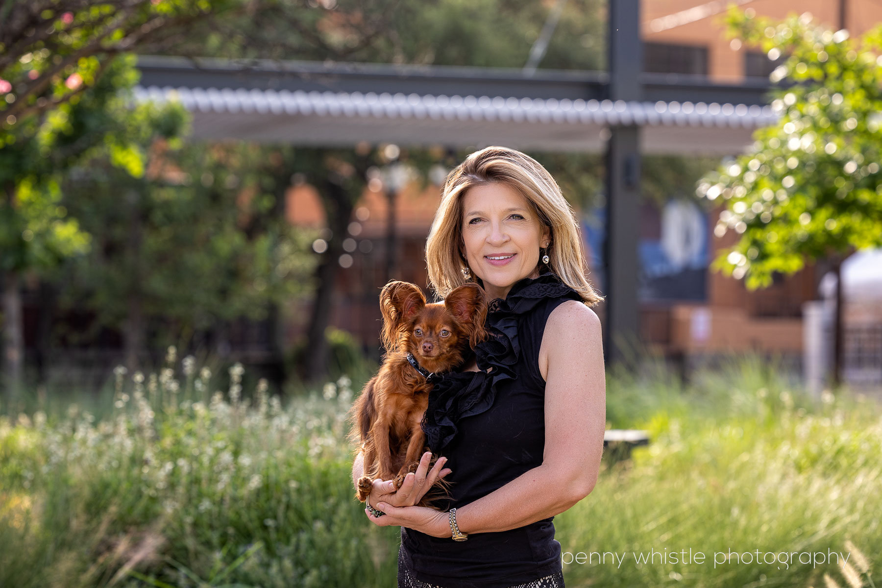 Little Dog in the Big D (aka Dallas)