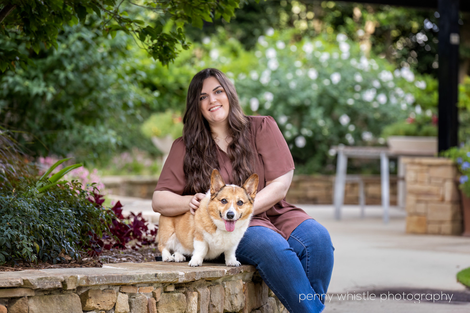 Along The Lines of Dog Photography