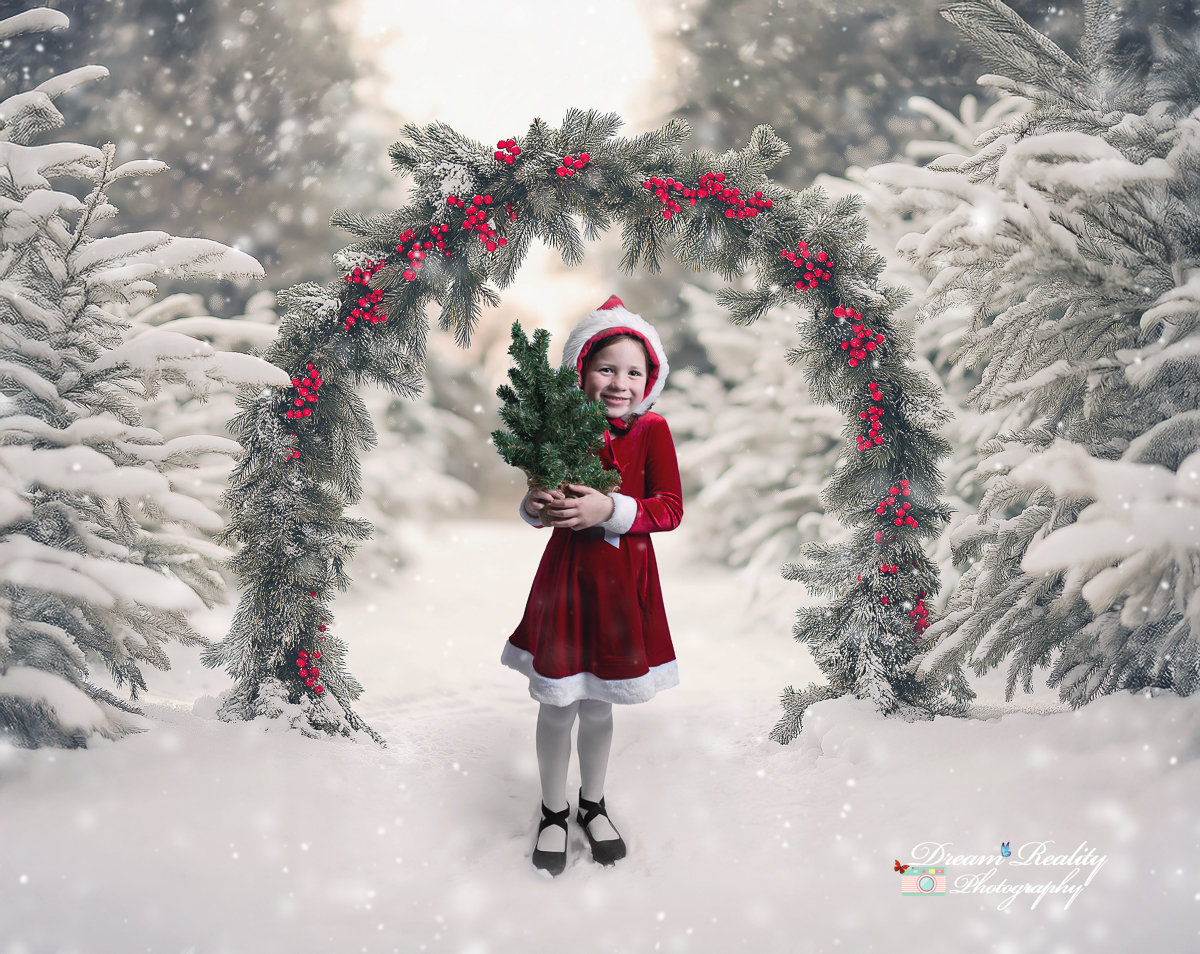 Studio Christmas Portraits { Hamilton, NJ Baby and Children ...