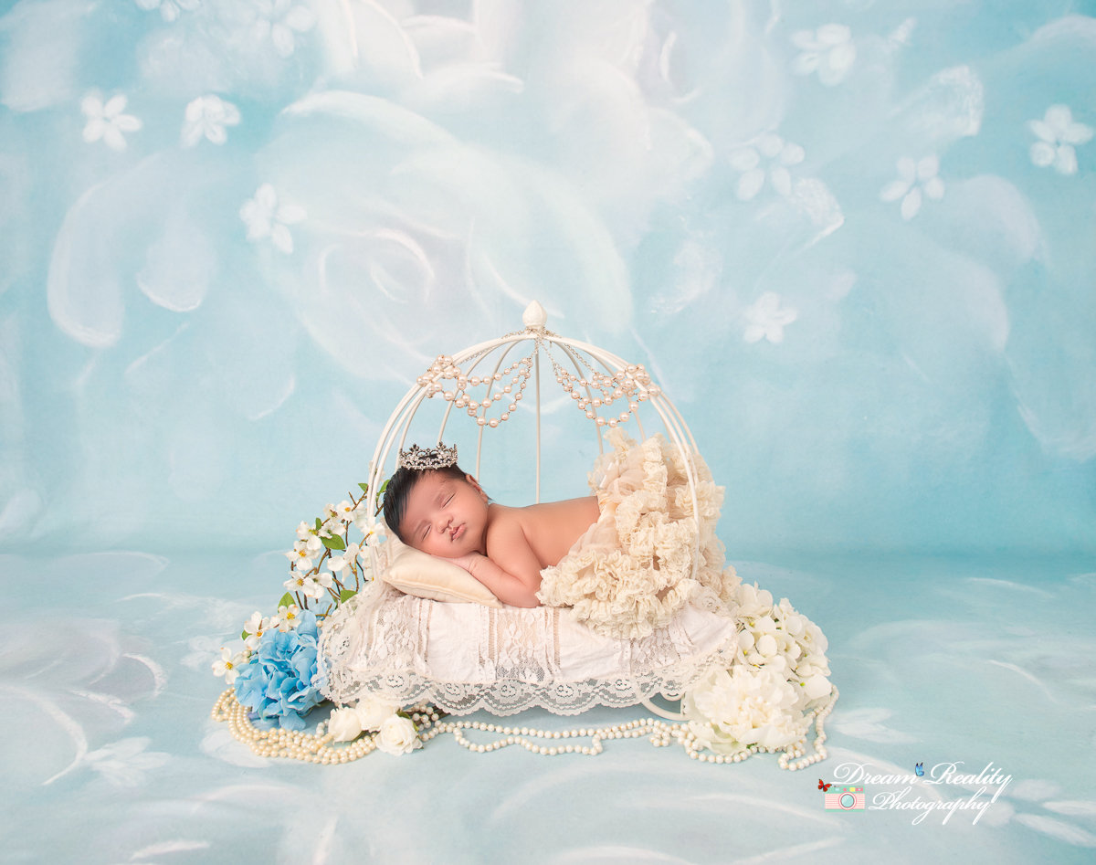 Stunning Newborn Girl Photoshoot Themes. { Manalapan, NJ Maternity ...