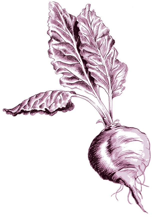 Become an Owner - Deep Roots Market - Greensboro's Local Co-op Grocery ...