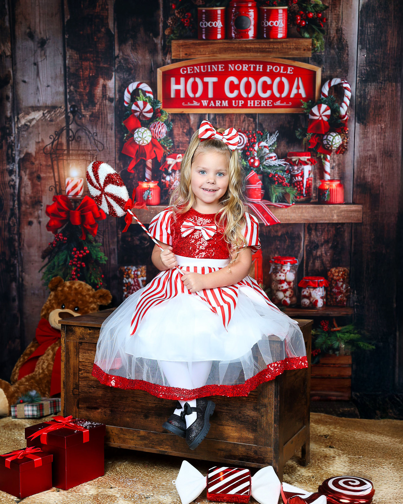 Christmas Portraits - Doves Portrait Design