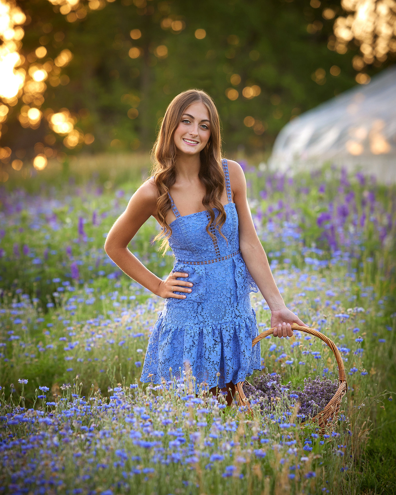 NFocus Photography - nfocus photography