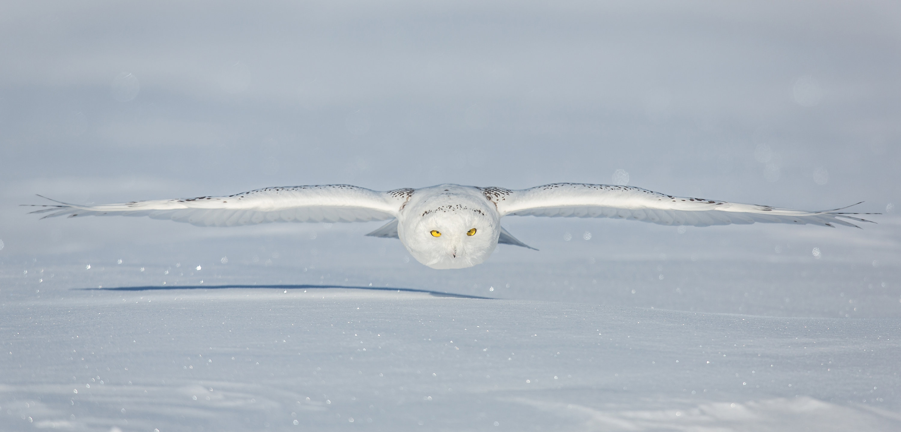 Glide Path - James Netz Photography