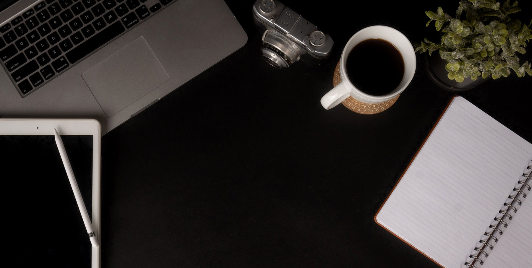 BOOK A SESSION - Baer Photography