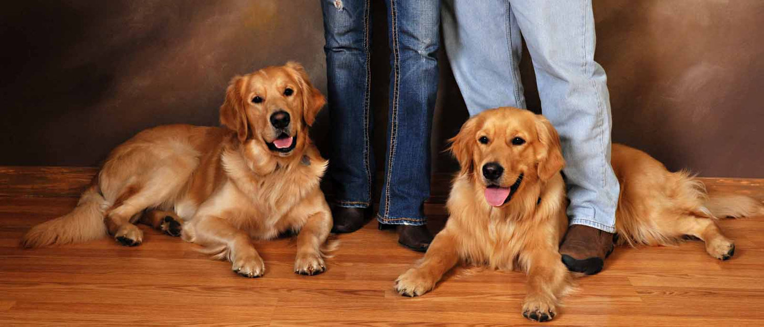 gallery - Catherine Hellman Photography