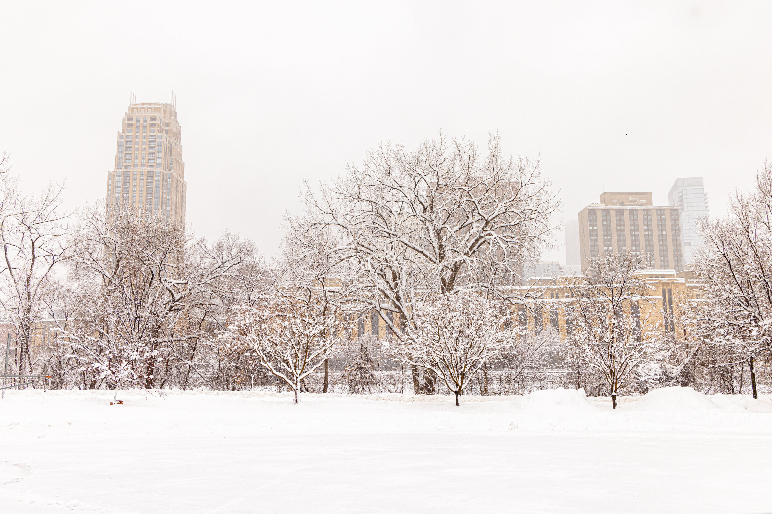 Fine Art & Landscapes - Lisa Roy Photography