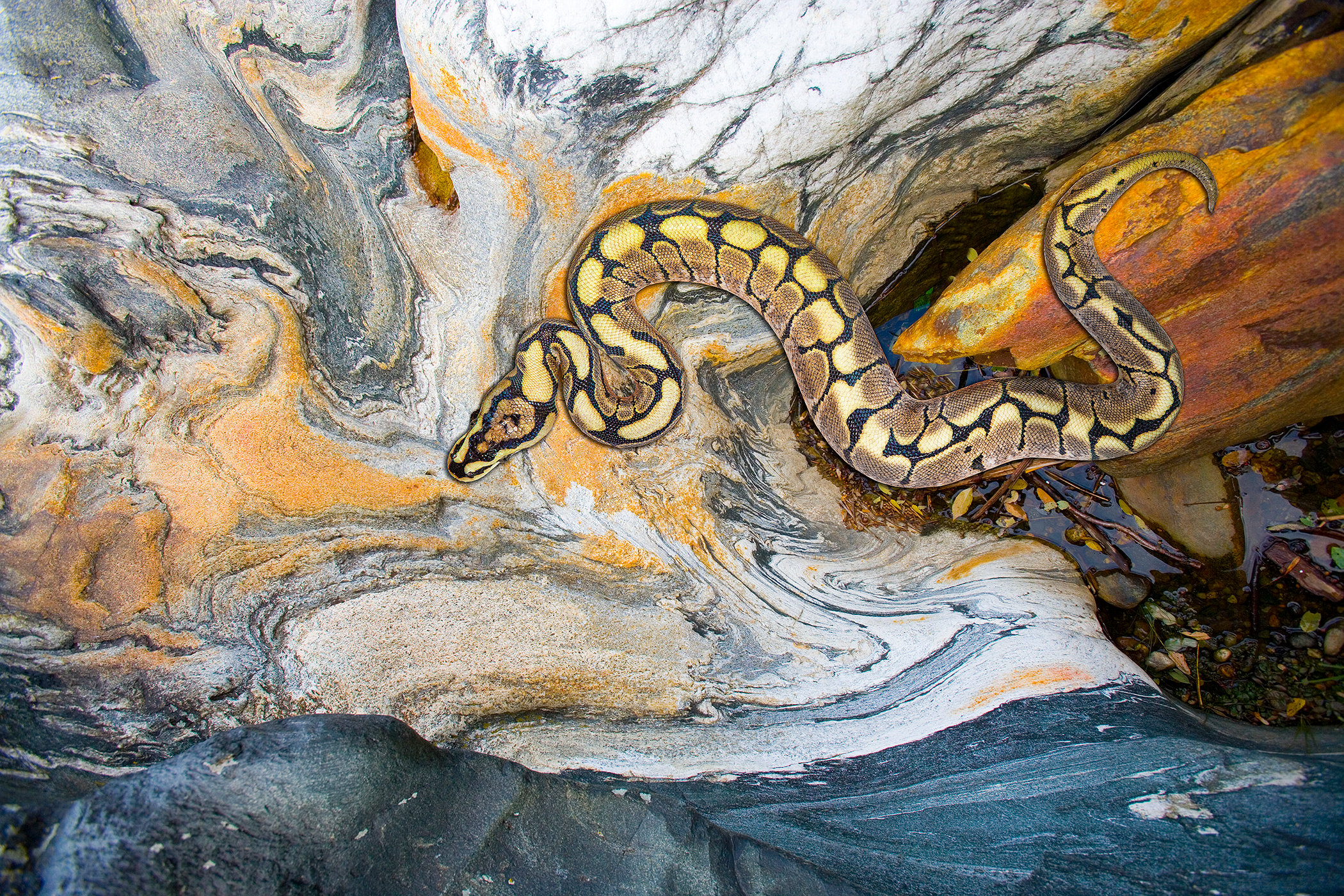 A background technique - Jim Zuckerman photography & photo tours