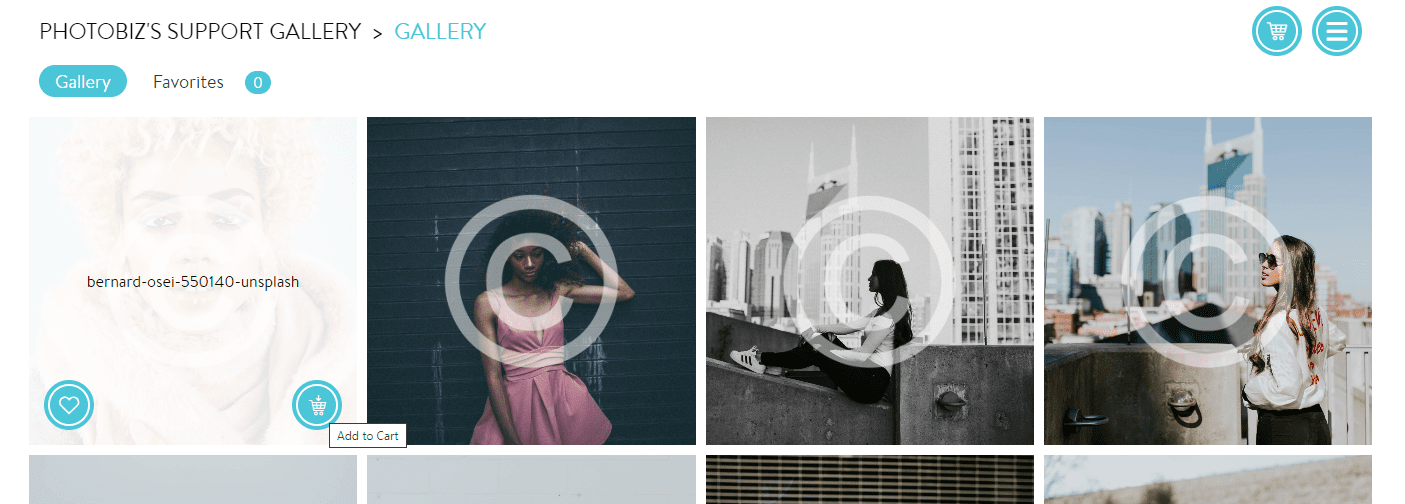 How Do I Set Up Fixed Packages? - PhotoBiz Knowledge Base