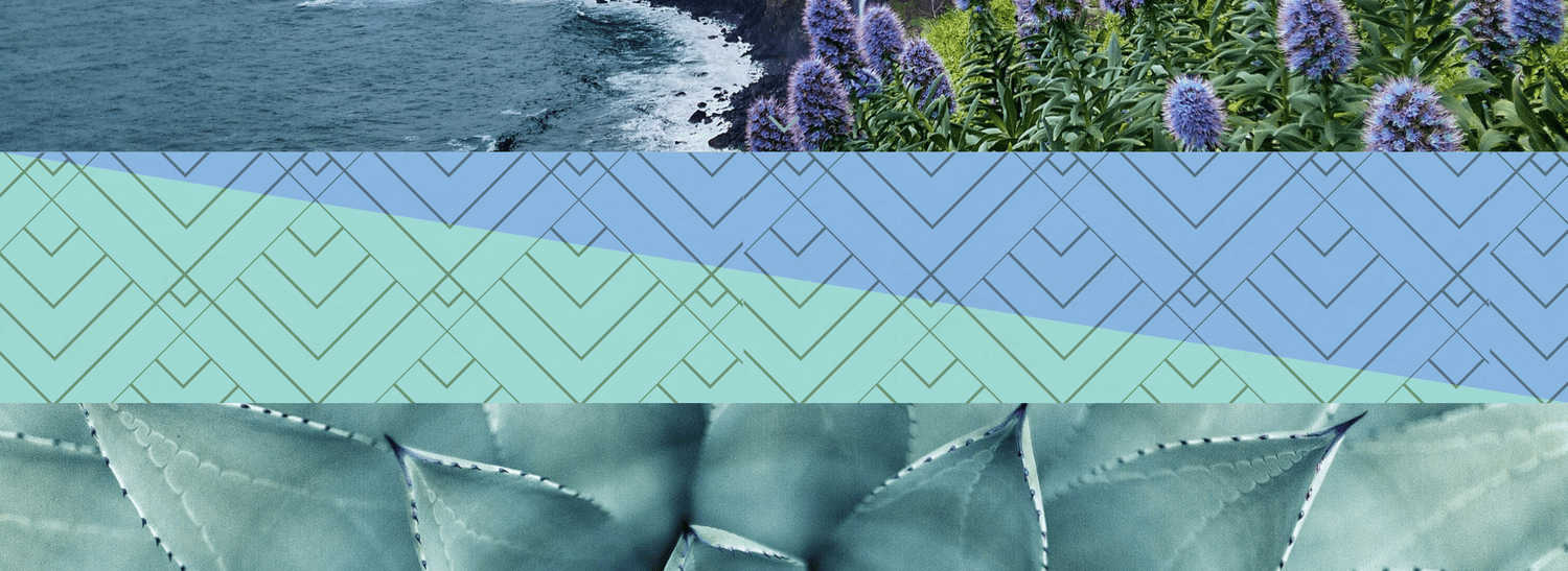 How To Use Slant And Point Dividers - PhotoBiz Knowledge Base