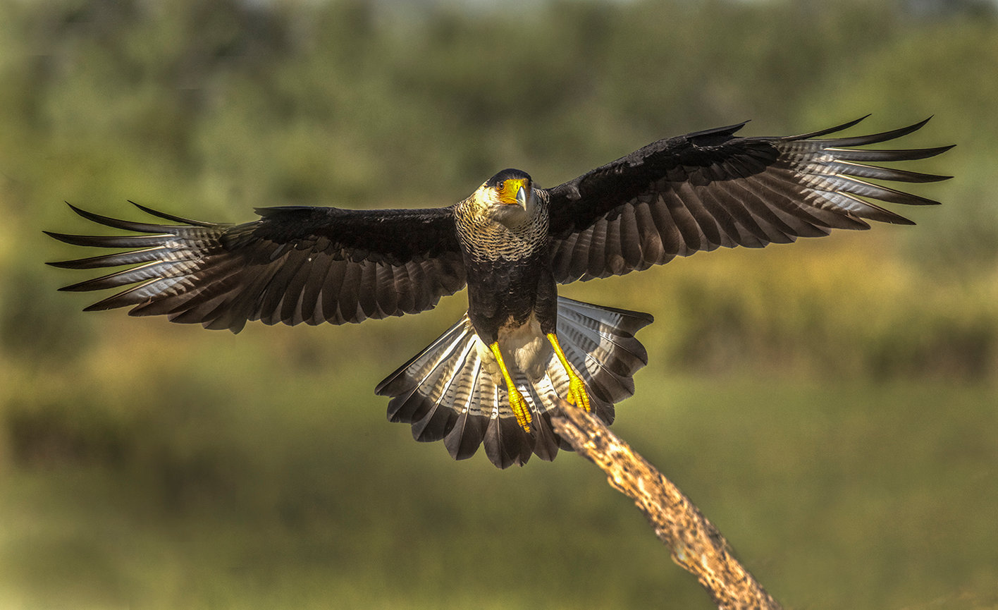 Photo Tours/Workshops - Jim Zuckerman Photography