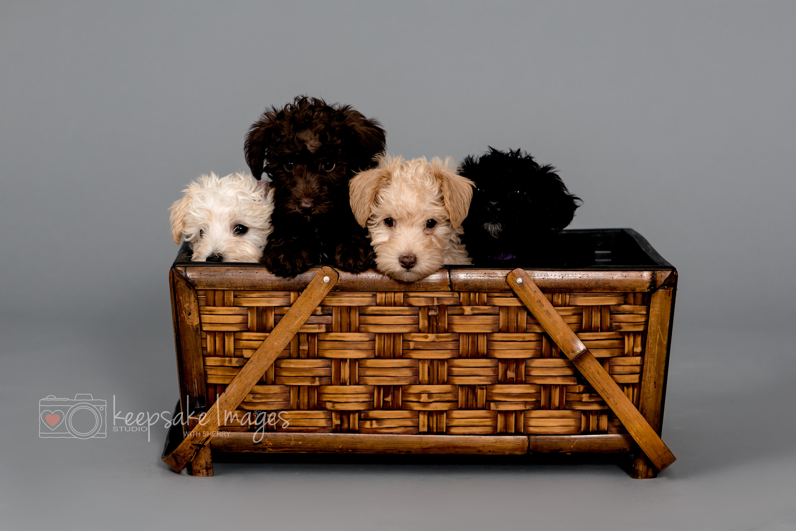 HOME - Keepsake Images