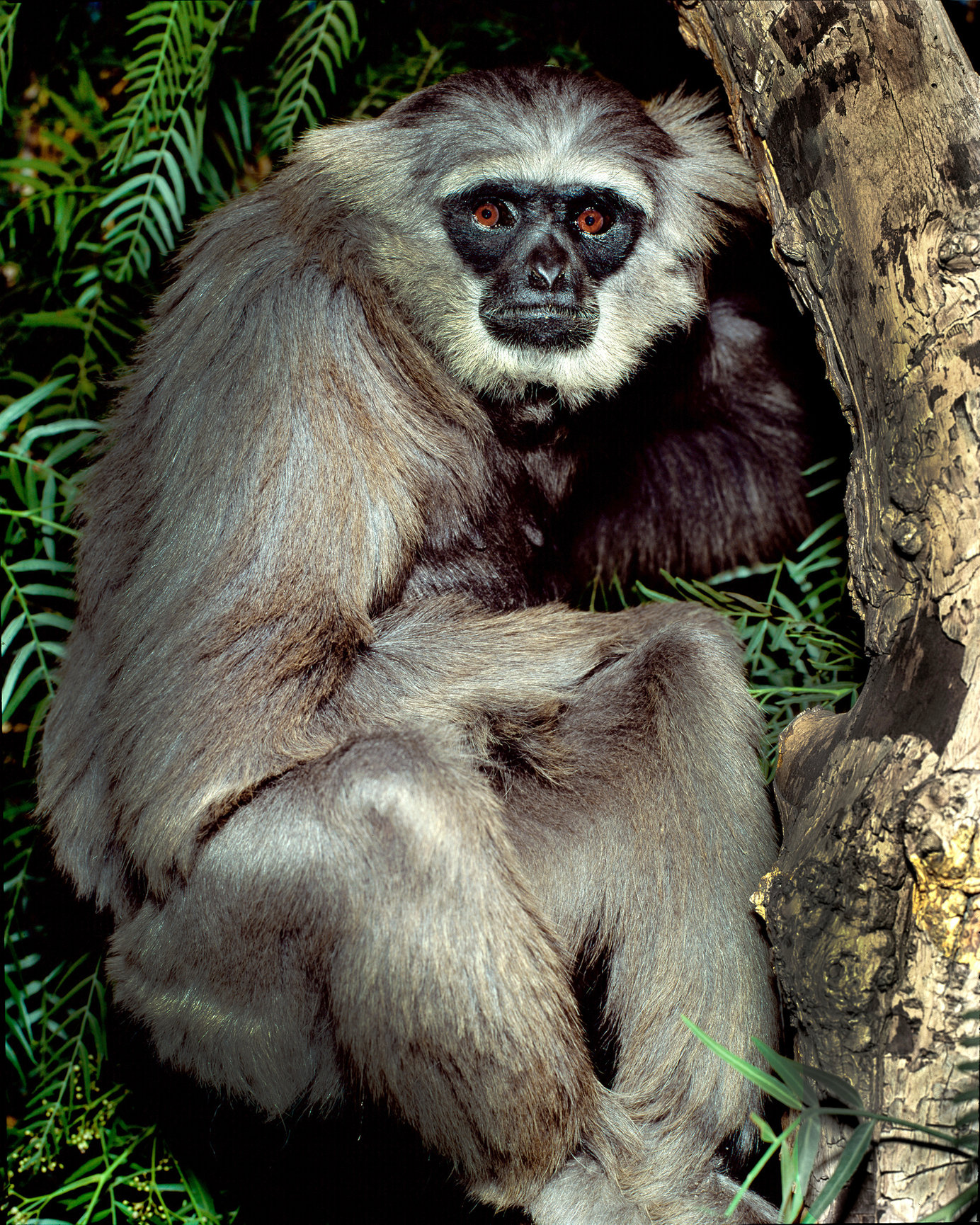 A lighting challenge - Jim Zuckerman photography & photo tours