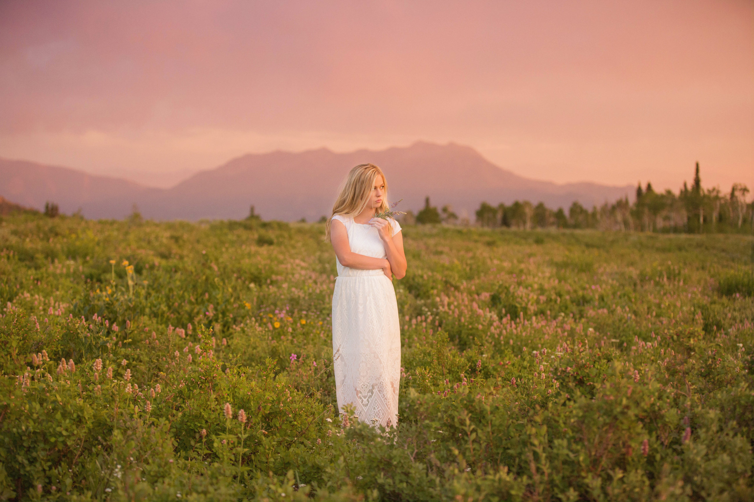 GALLERY - Kerry Horrocks Photography