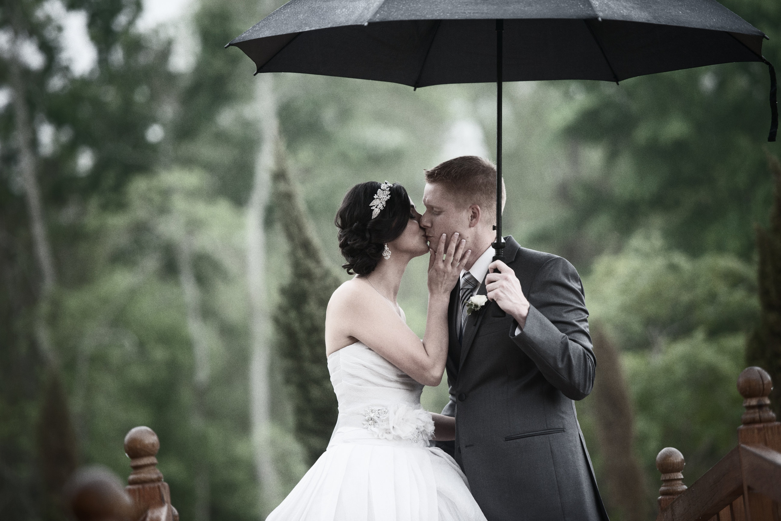 Houston Weddings Gallery | Natural Expressions