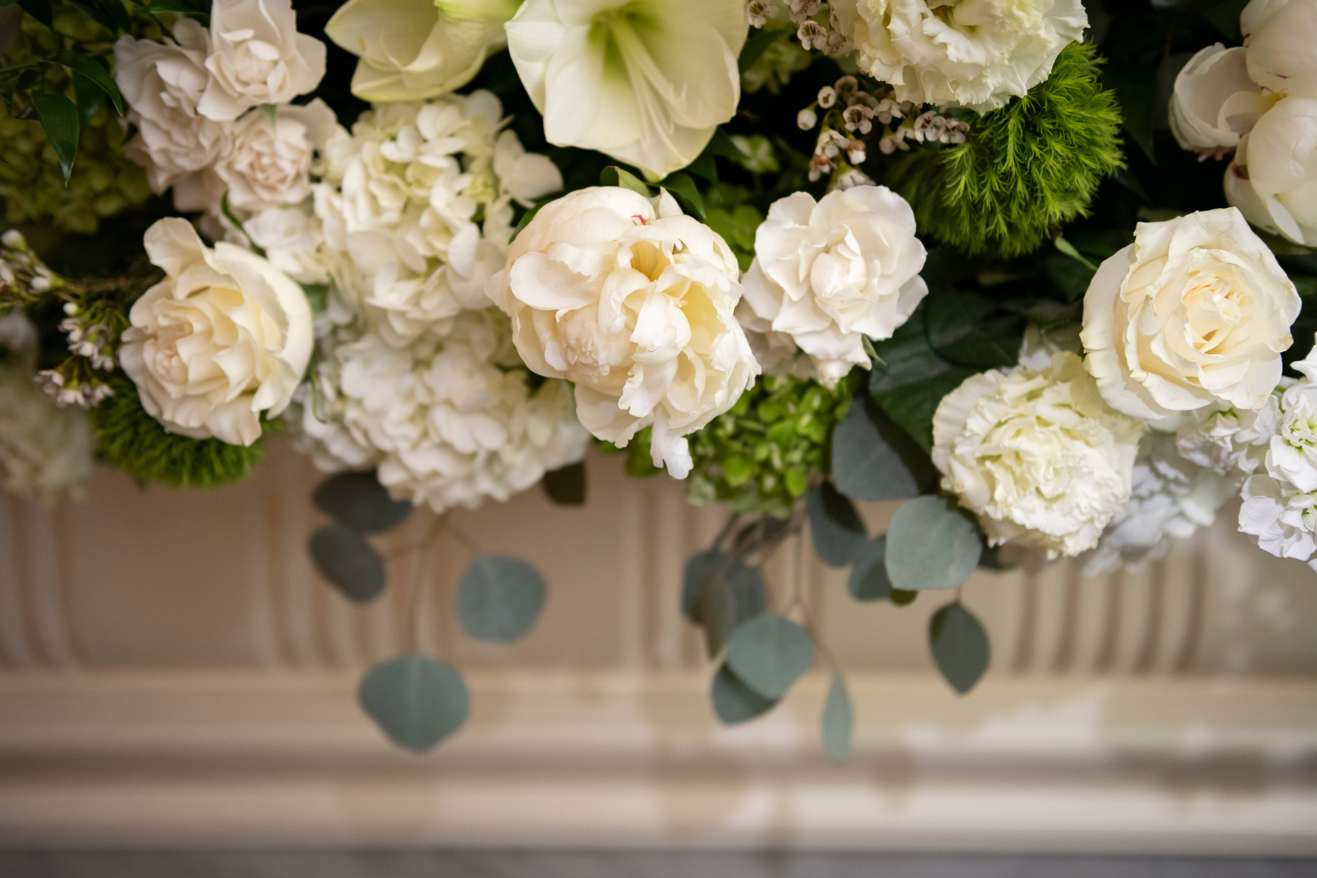 Charlotte Assembly Debutante Club, 2024 Season - Aesthetic Images ...
