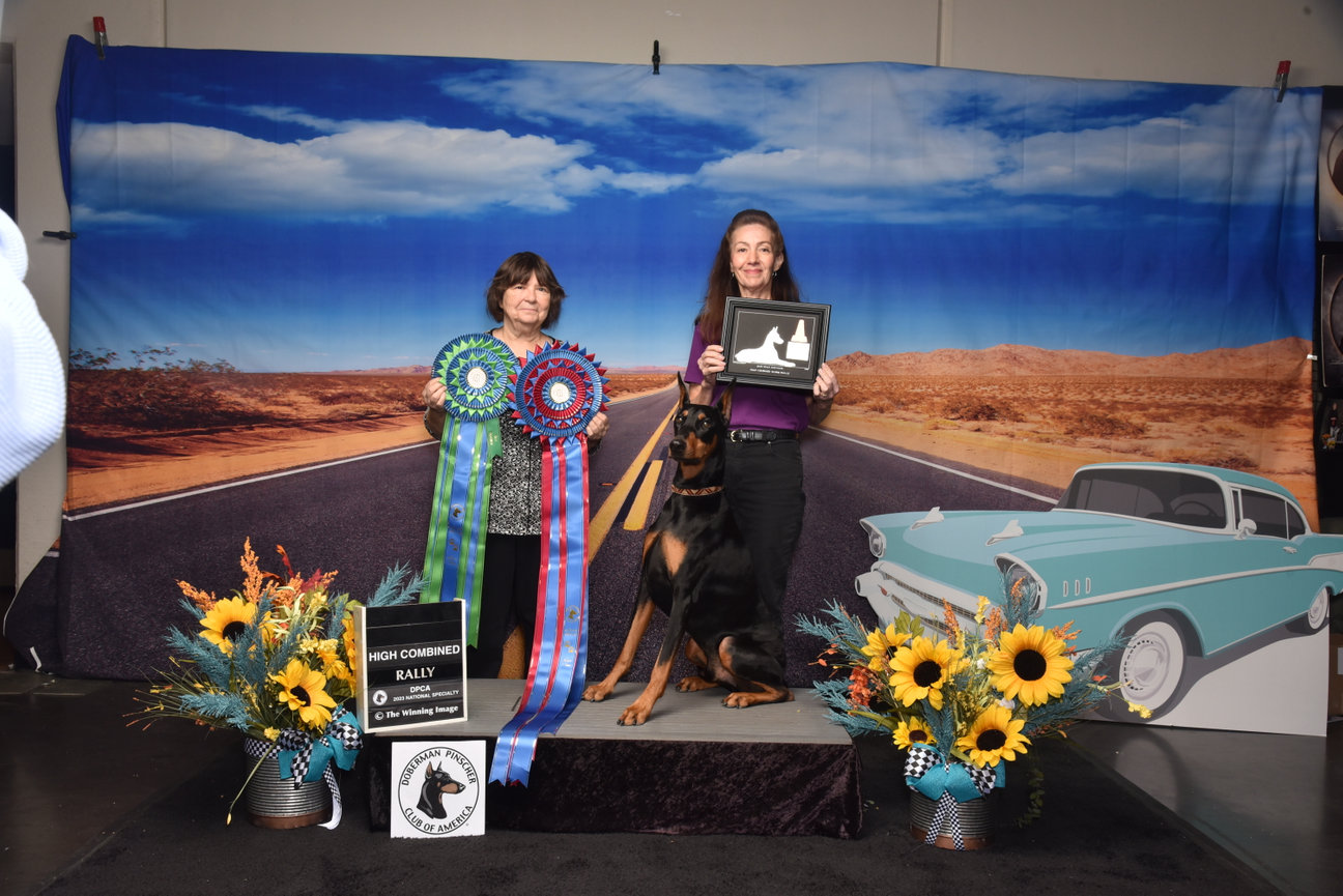 DPCA Performance - The Winning Image