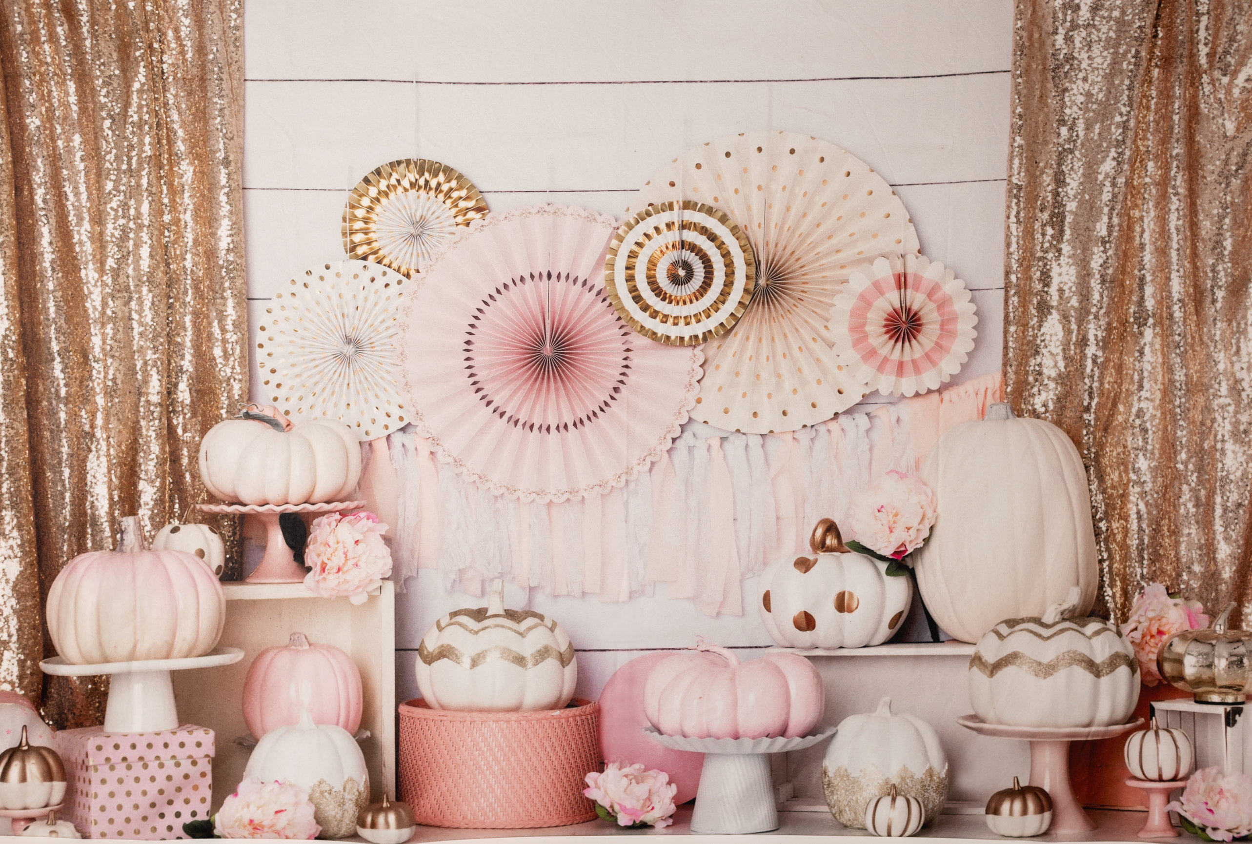 Brampton and Caledon Cake Smash Photographer - Signature Backdrops ...