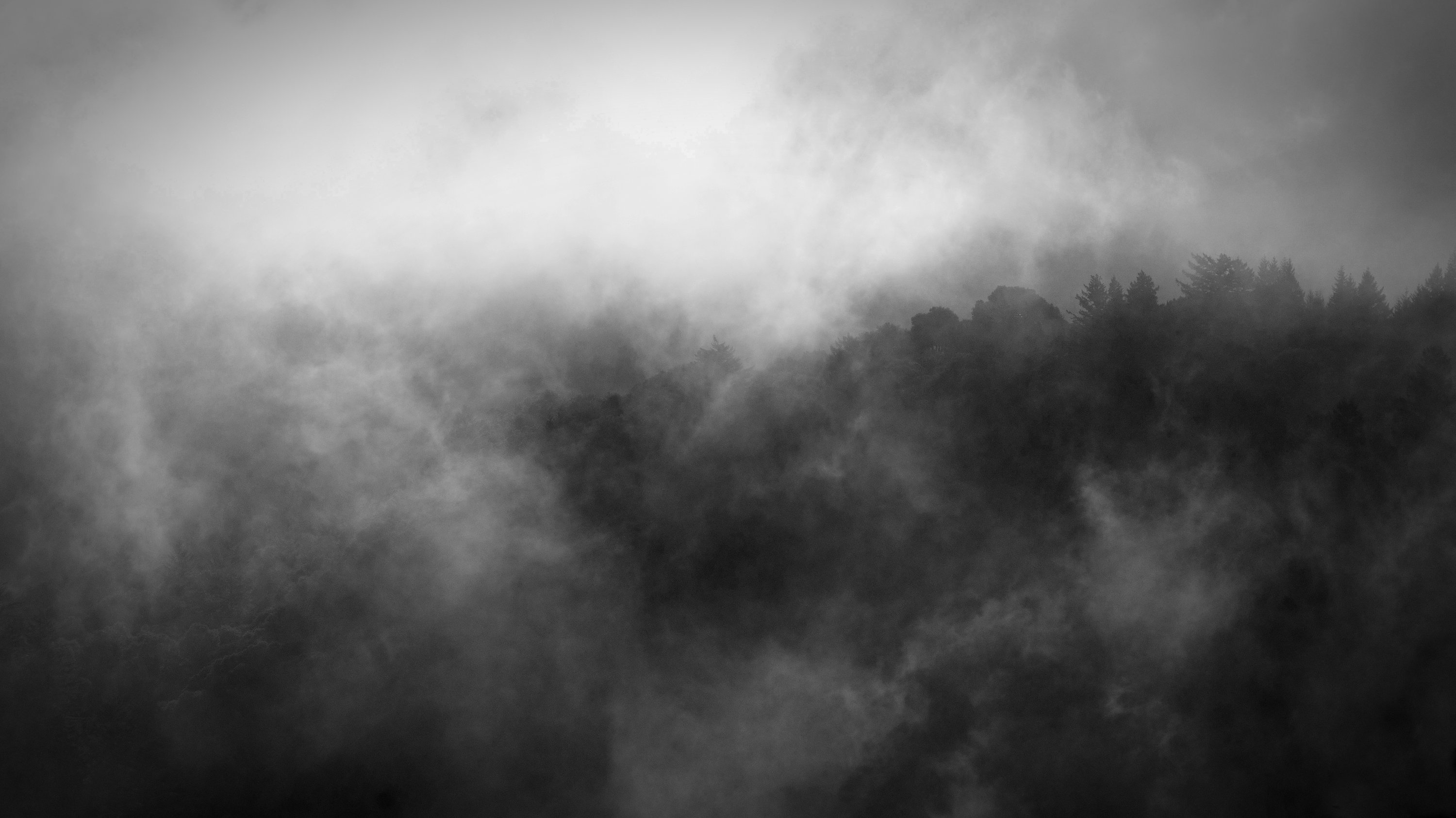 Artist- Eric Wiles Photography