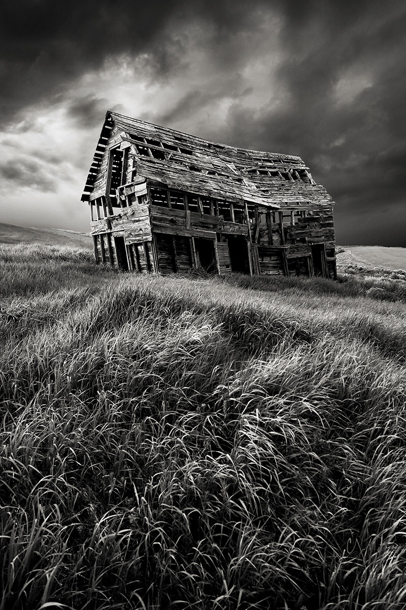 WEATHERED - In Light Sepia and Color - The Open Shutter