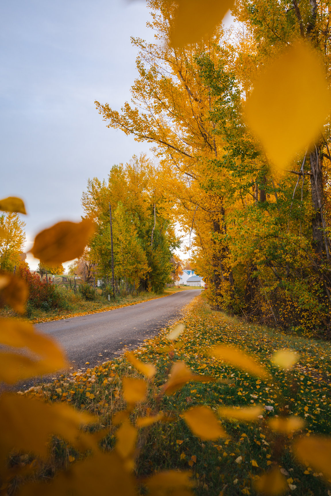 HOME - Taylor Dalton Photography