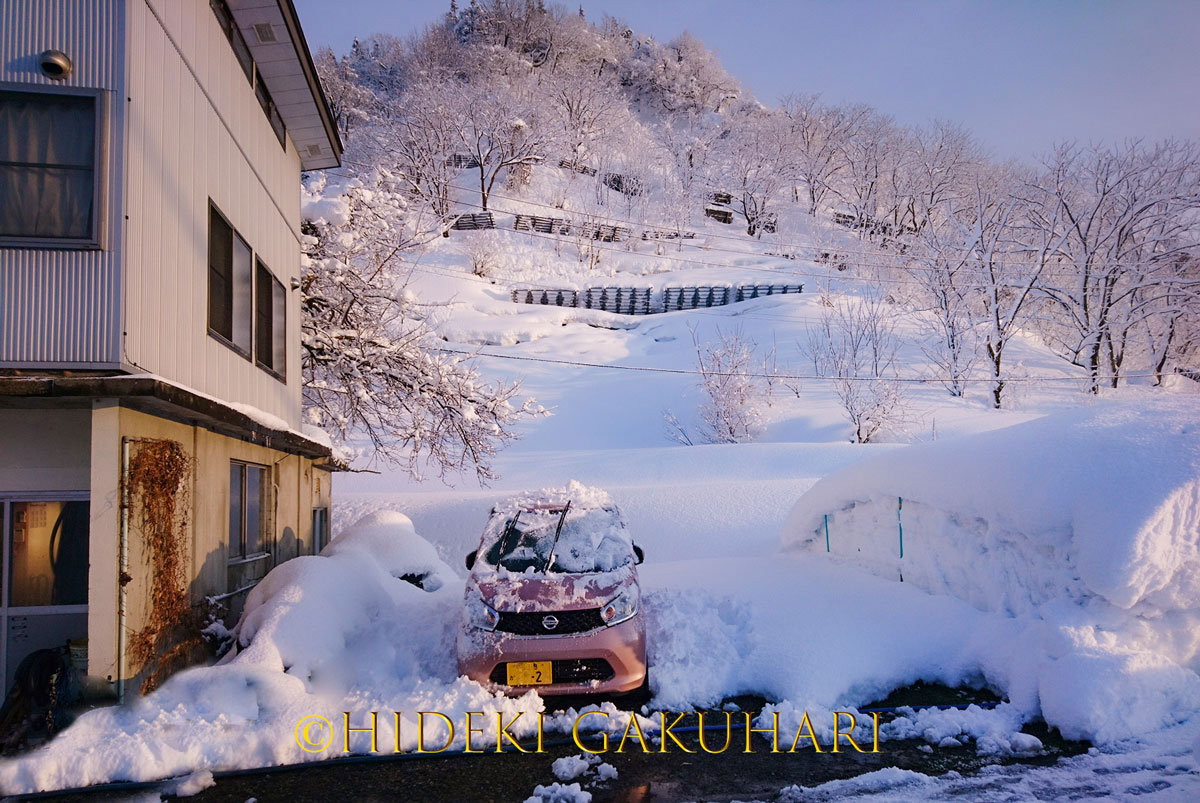 YukiGuni Niigata Tour - A Culinary and Seascape Photography Destination ...