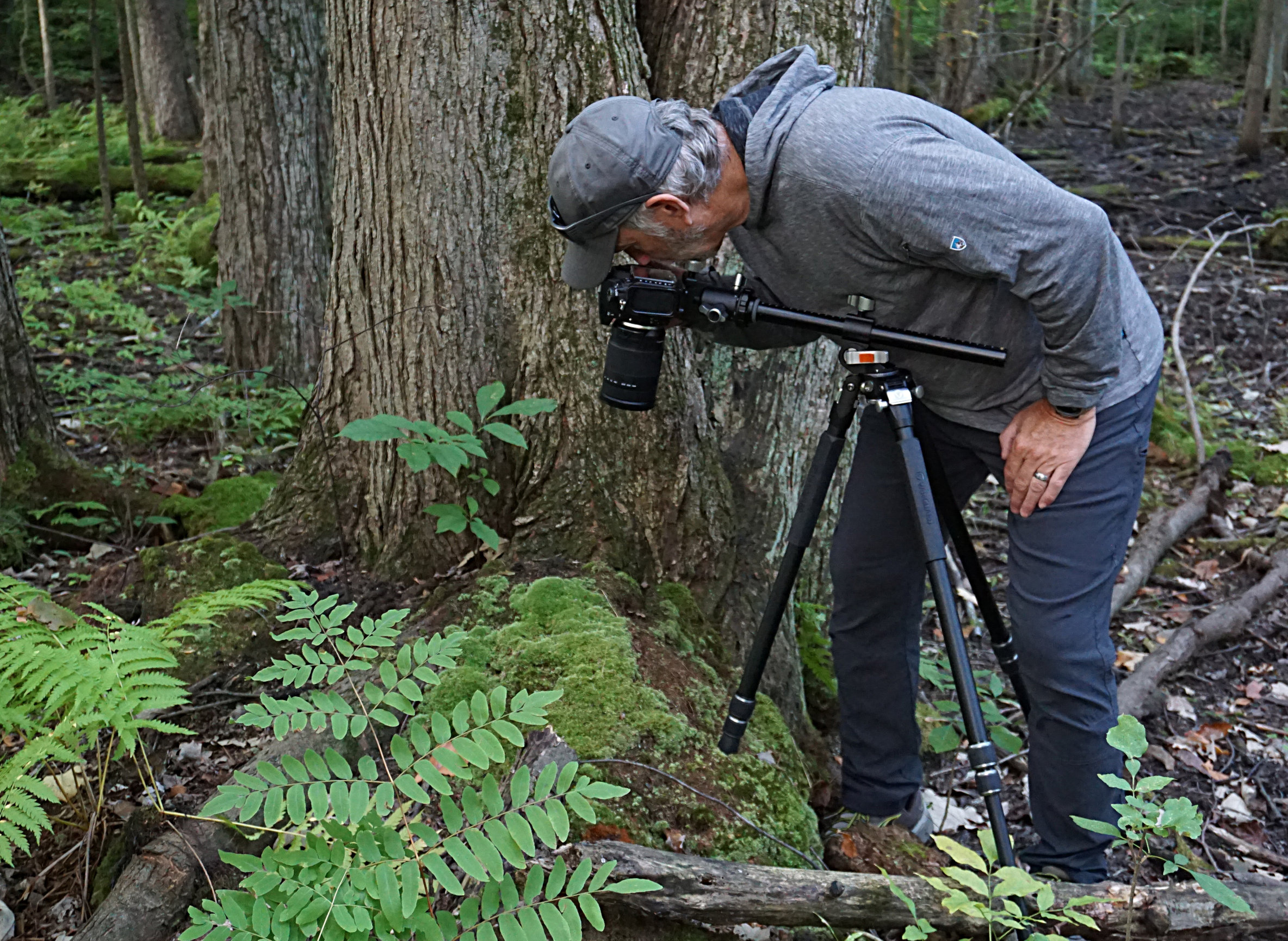 Practice Makes Perfect - Mike Moats - Award Winning Macro Photographer