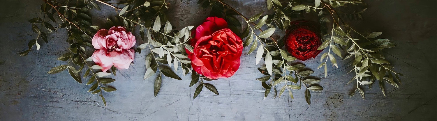 HOME - DEVLIN PHOTOGRAPHY