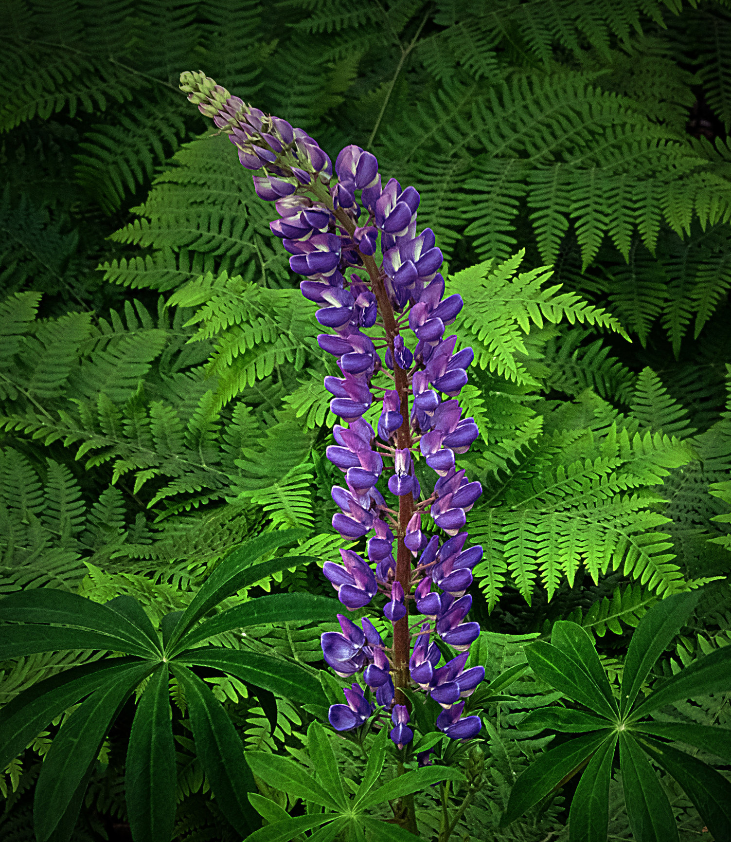 Now Booking Camera Club Zoom Meetings for 2025 - Mike Moats - Award ...