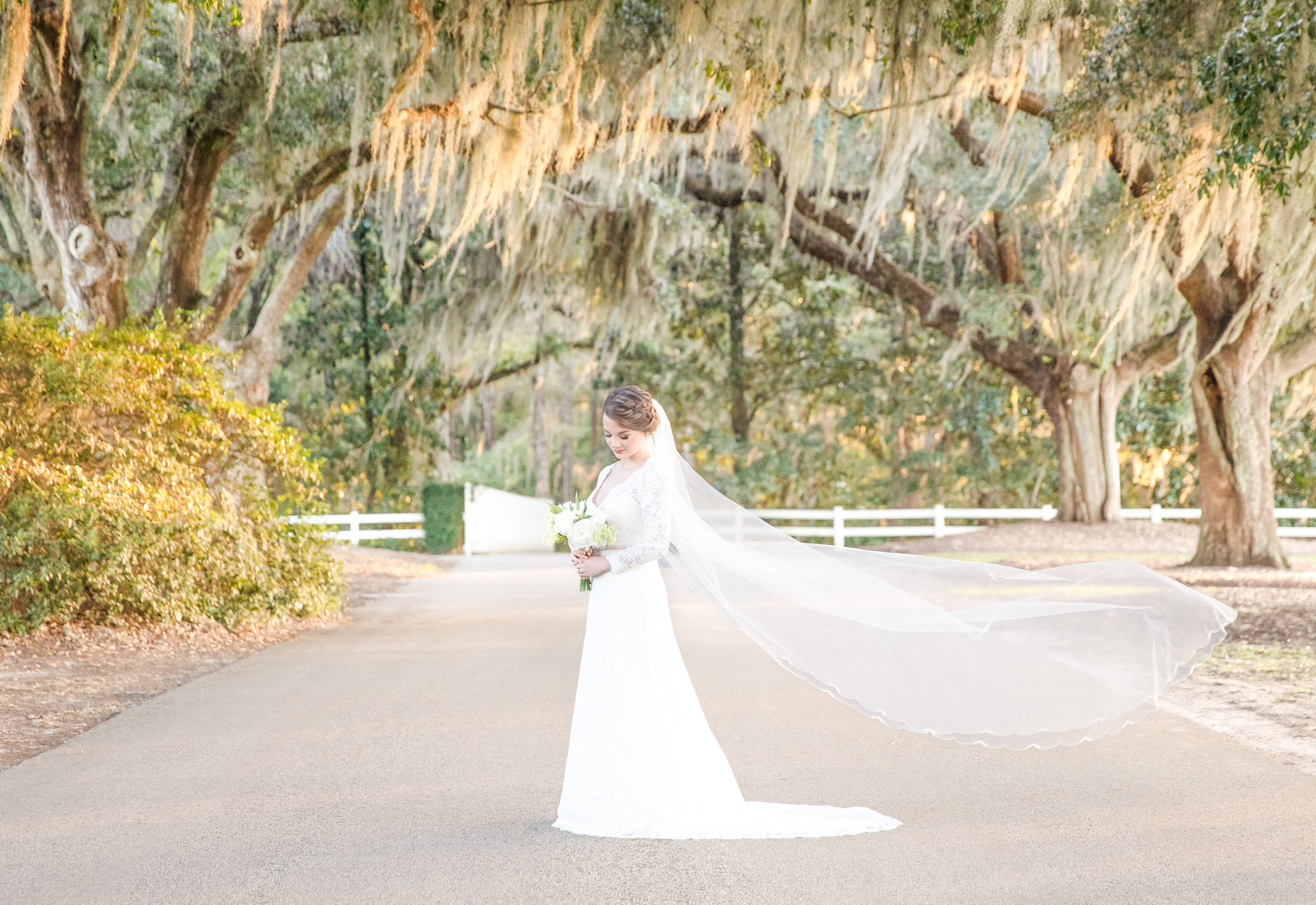 Conway Wedding & Portrait Photography | Ivory Row Photography