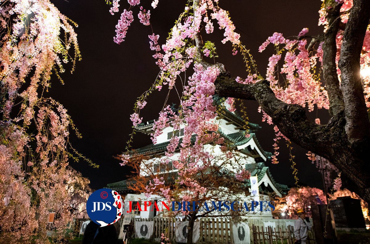 Japan’s Samurai Fortresses - Historic Cherry Blossom Photography Tour ...