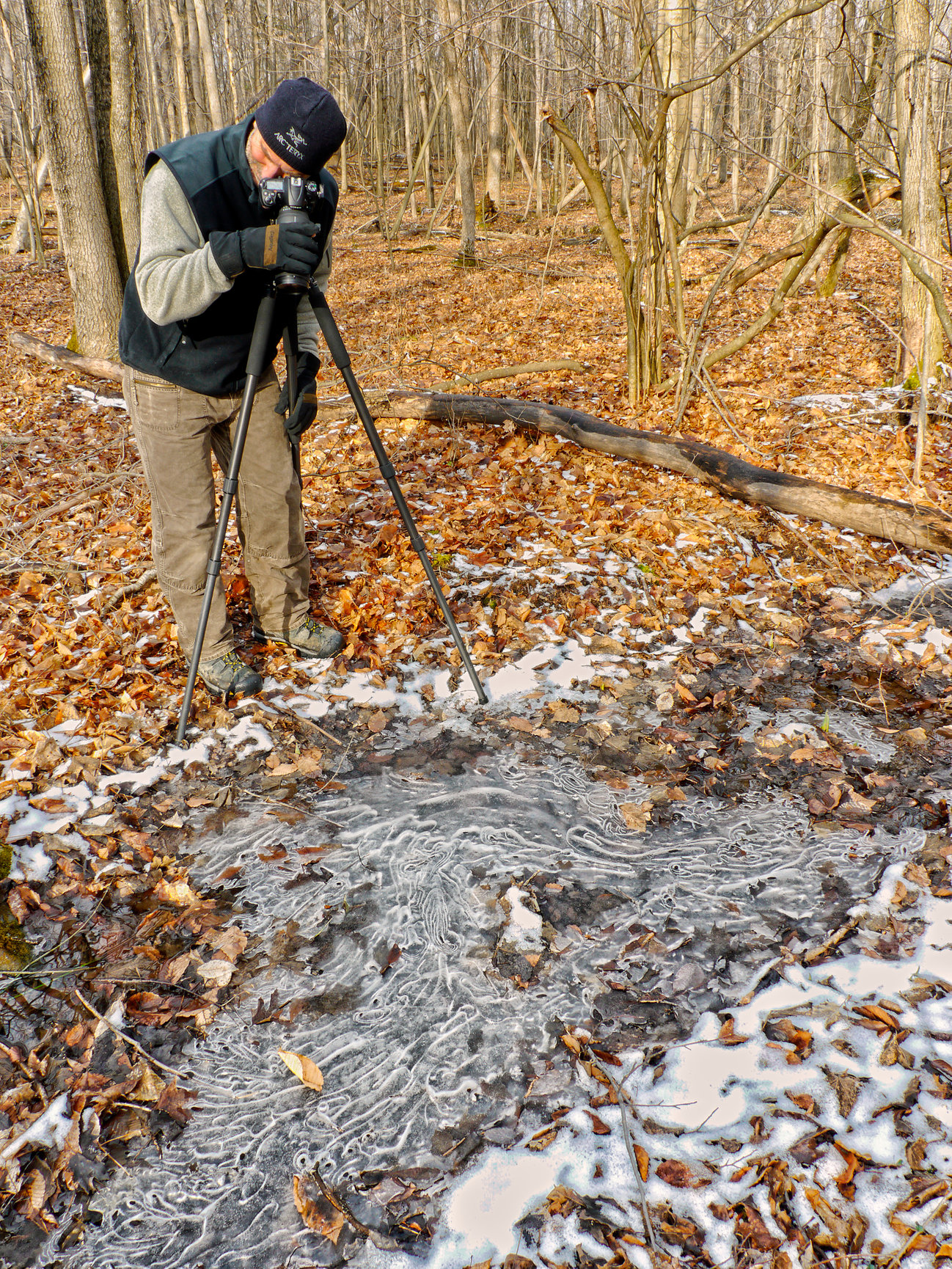 Why I Do So Many of My Field Videos - Mike Moats - Award Winning Macro ...