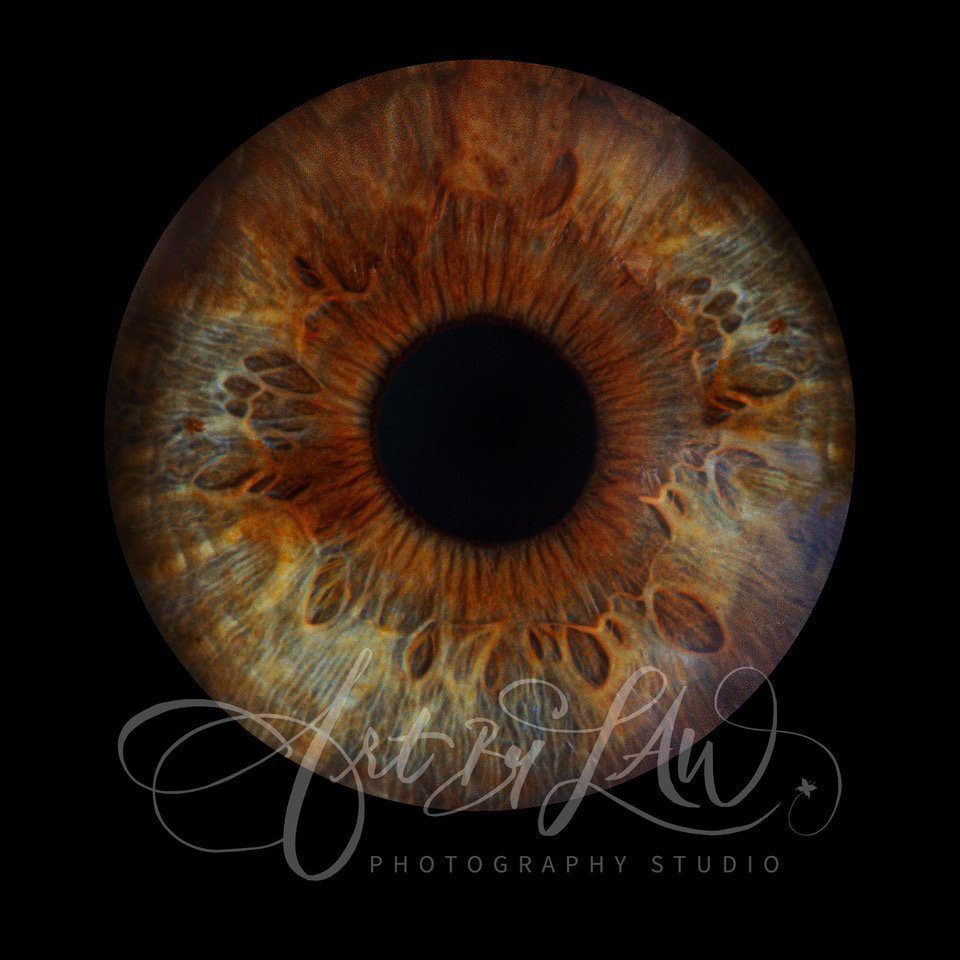 Iris individual - Art By LAW Studio