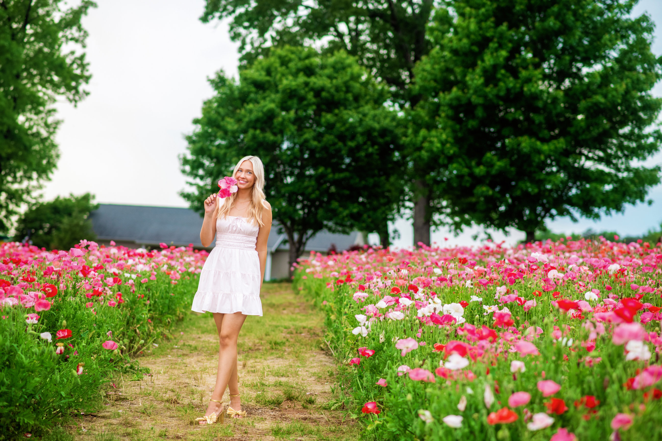 Sarah Grace Winston Salem and Poppy Field Senior Shoot - Wildflower ...